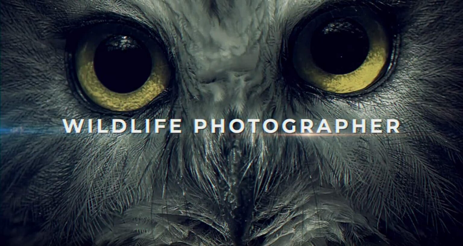 Bill Maynard | Canadian Wildlife Photographer - Cool Wildlife Photography