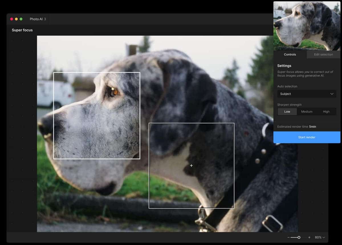 Topaz Labs Photo AI 3 Review | Easy Photo Editing - Cool Wildlife ...