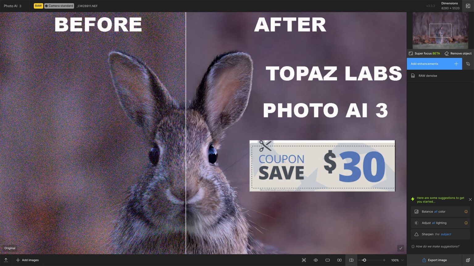 Topaz Labs Photo AI 3 Review | Easy Photo Editing - Cool Wildlife Photography