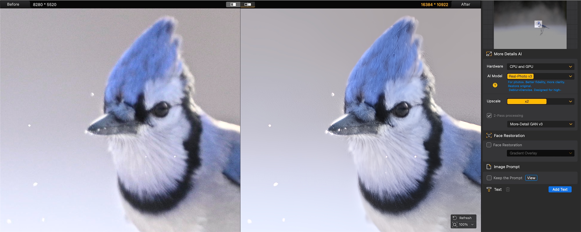 Fix Noisy Blurry Photo's With Aiarty Image Enhancer - Cool Wildlife ...