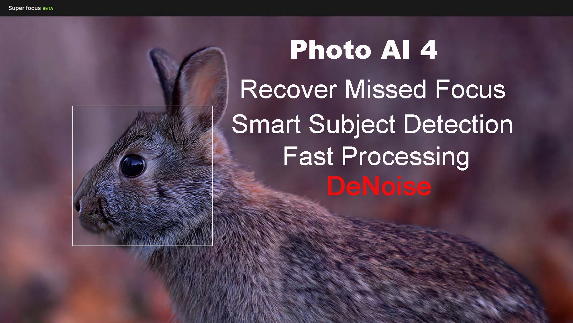 Topaz Photo AI 4 for Wildlife Photographers - Cool Wildlife Photography